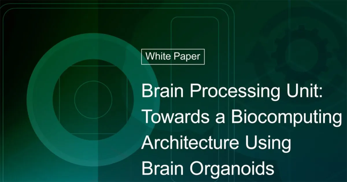 【White Paper Release】Brain Processing Unit: Towards a Biocomputing ...